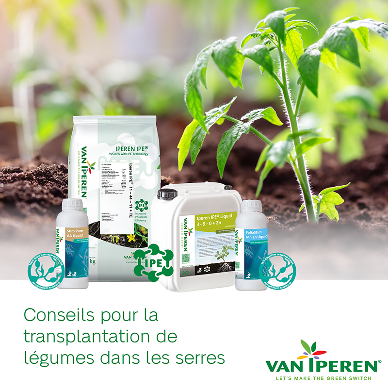 Conseils d'Utilisation pour soutenir l'Enracinement des Plants de ...
