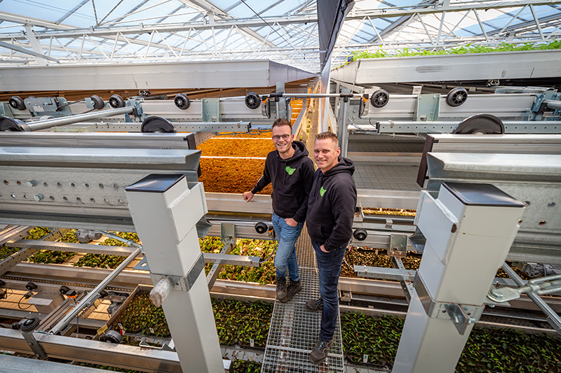 Van der Avoird Trayplant adopte la durabilité avec GreenSwitch ...