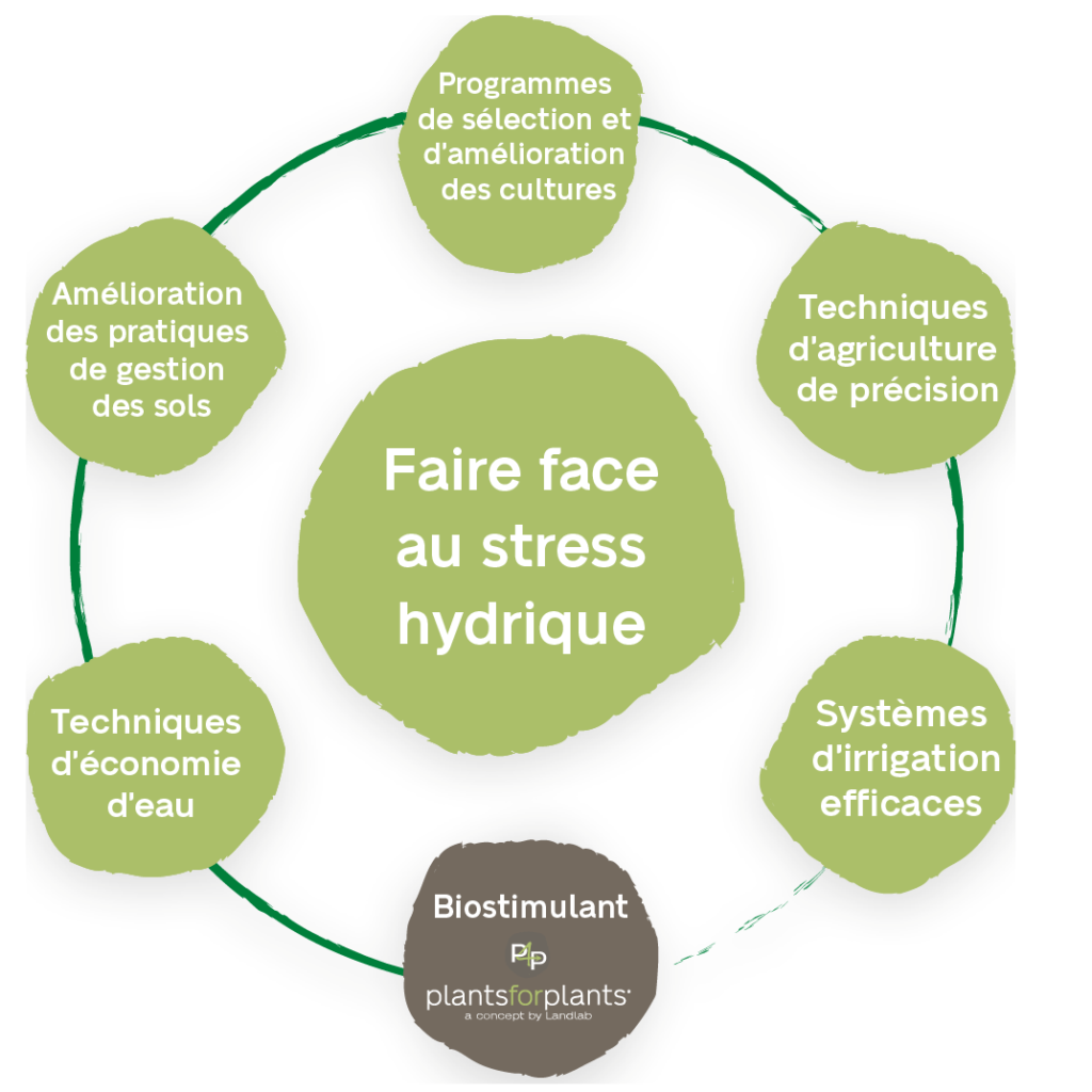 Lutter contre le Stress Hydrique en Agriculture: Solutions et Avantages de Plants for Plants® 4 ...