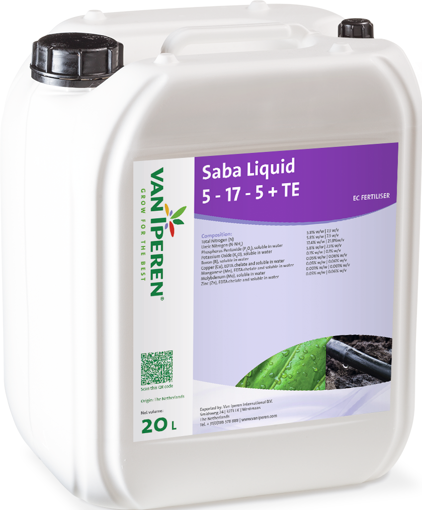 Saba For Life Homepage