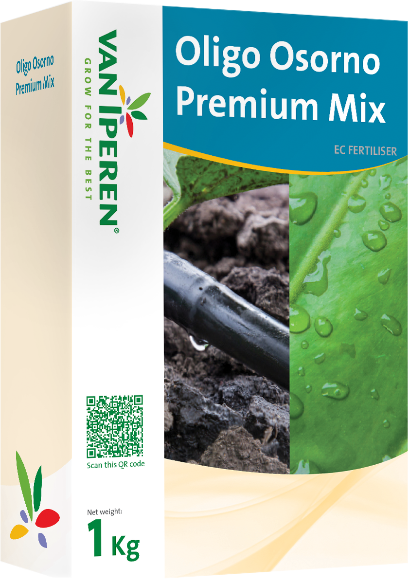 Oligo Osorno Premium Mix - Van Iperen International