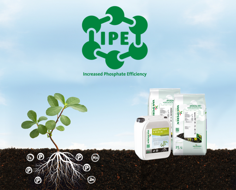 New IPE® Technology agronomical video available - Van Iperen International