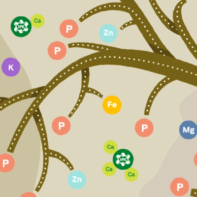 Watch our new IPE® Technology animation! - Van Iperen International