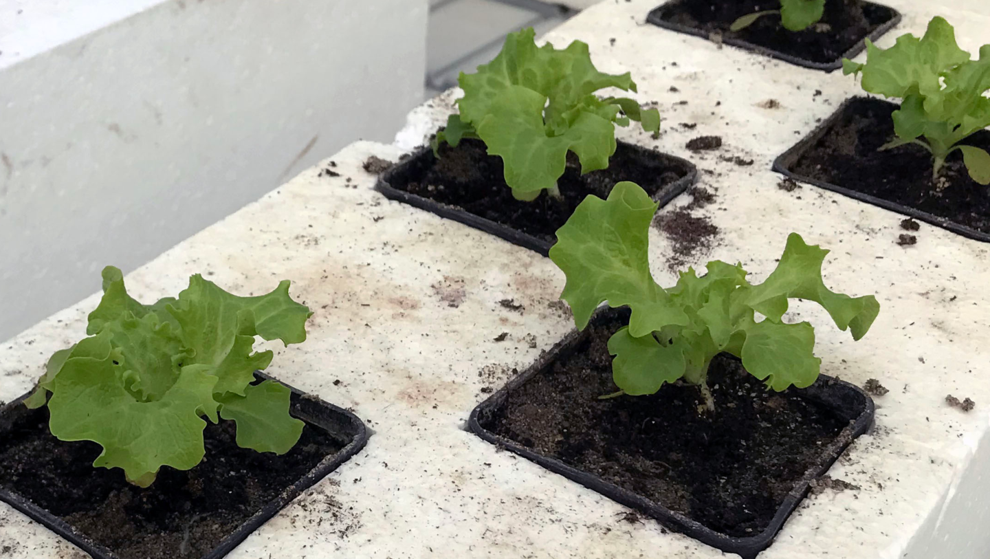 Mode of Action (MOA) - Van Iperen International