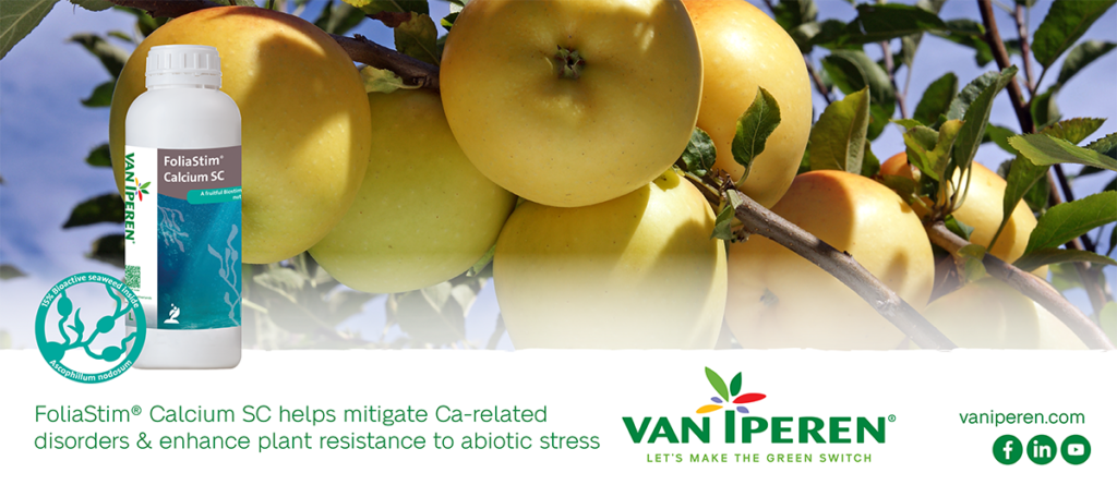 What is the Role of Calcium in Plant Growth? - Van Iperen International