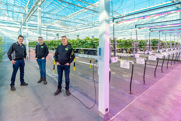 Van der Avoird Trayplant embraces Sustainability with GreenSwitch ...