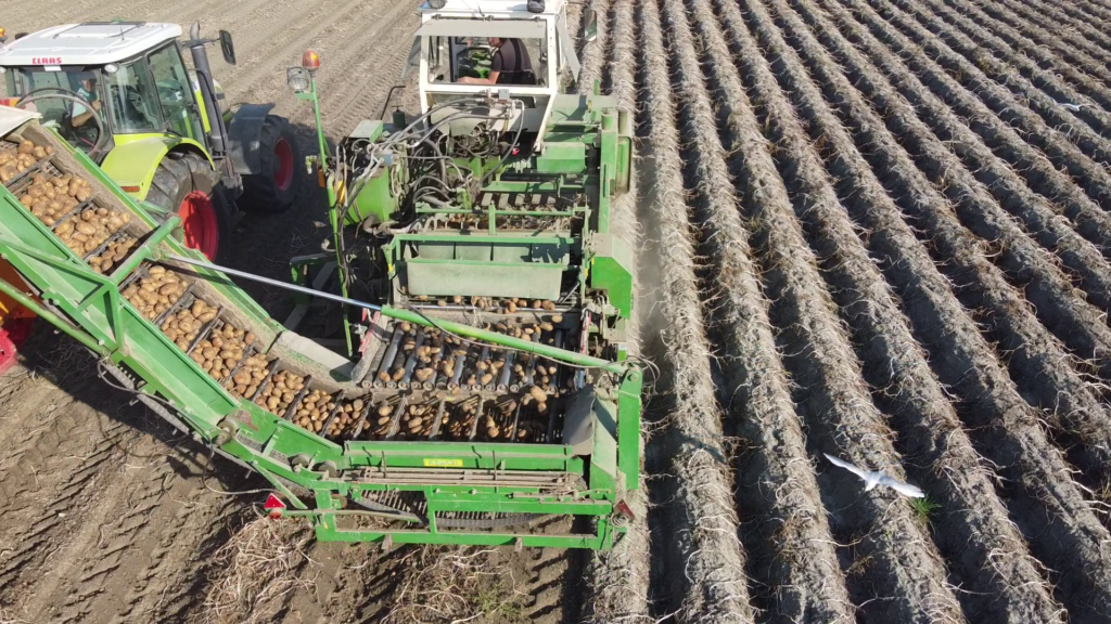 Enhancing Potato Nutrition and Crop Yields with Plants for Plants® 4 ...