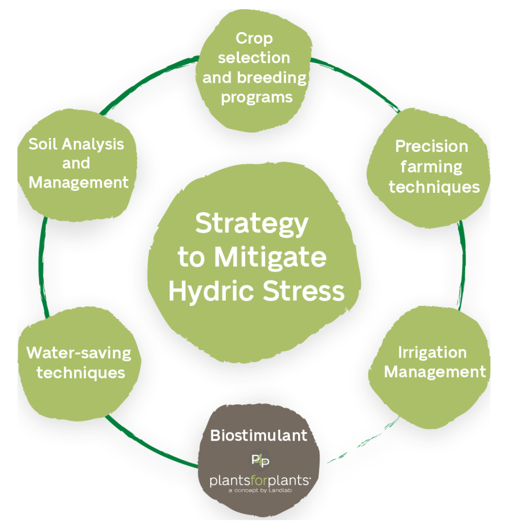 Addressing Hydric Stress in Agriculture: Solutions and Benefits of ...