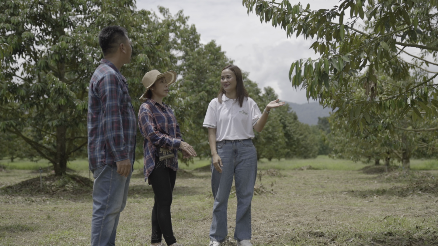 The voice of growers (V): Overcoming Durian Cultivation Challenges with ...