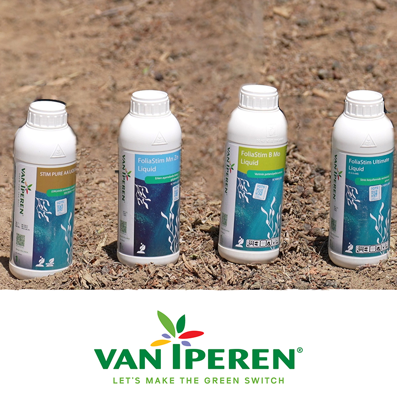 Enhance Your Crop's Potential with Seaweed-Based Biostimulants - Van ...