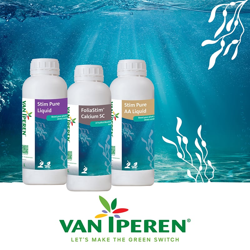 Seaweed Biostimulants for Resilient Crops - Van Iperen International
