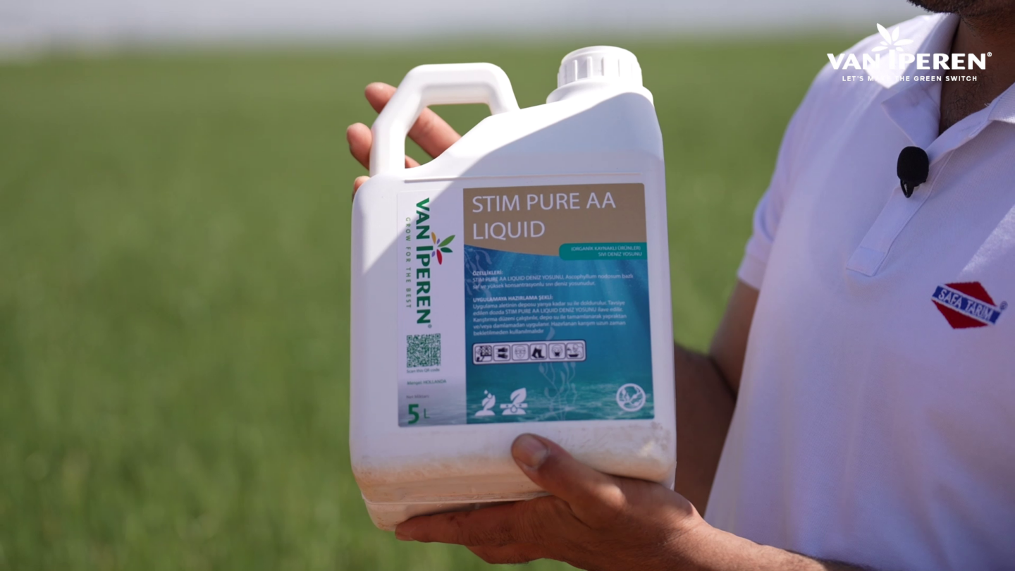 Enhance Your Crop's Potential with Seaweed-Based Biostimulants - Van ...