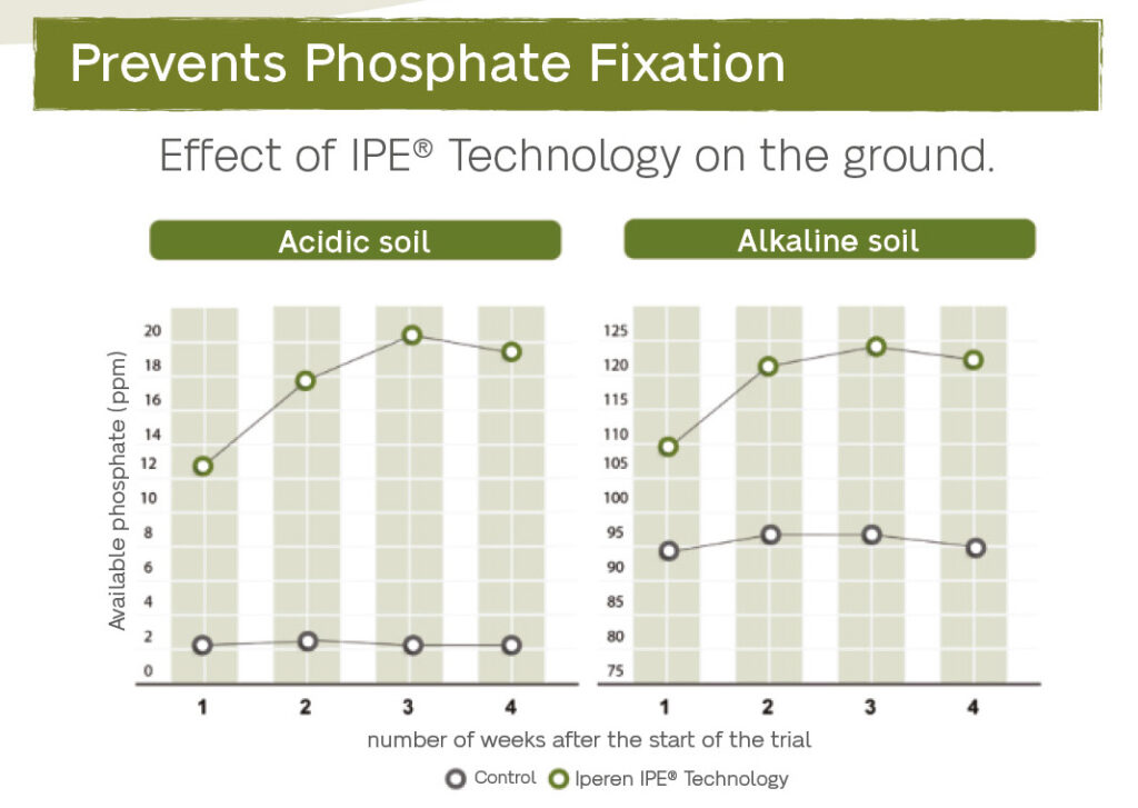 Enhanced Crop Nutrient Utilization with IPE® Technology - Van Iperen ...