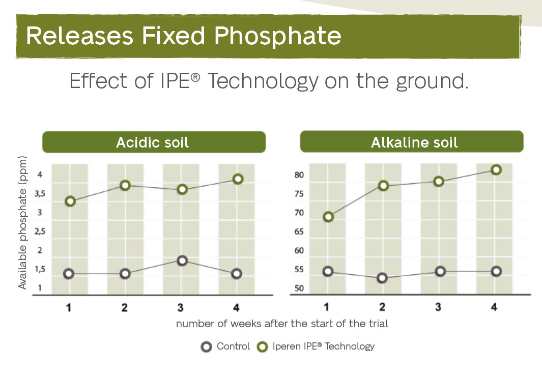 Enhanced Crop Nutrient Utilization with IPE® Technology - Van Iperen ...