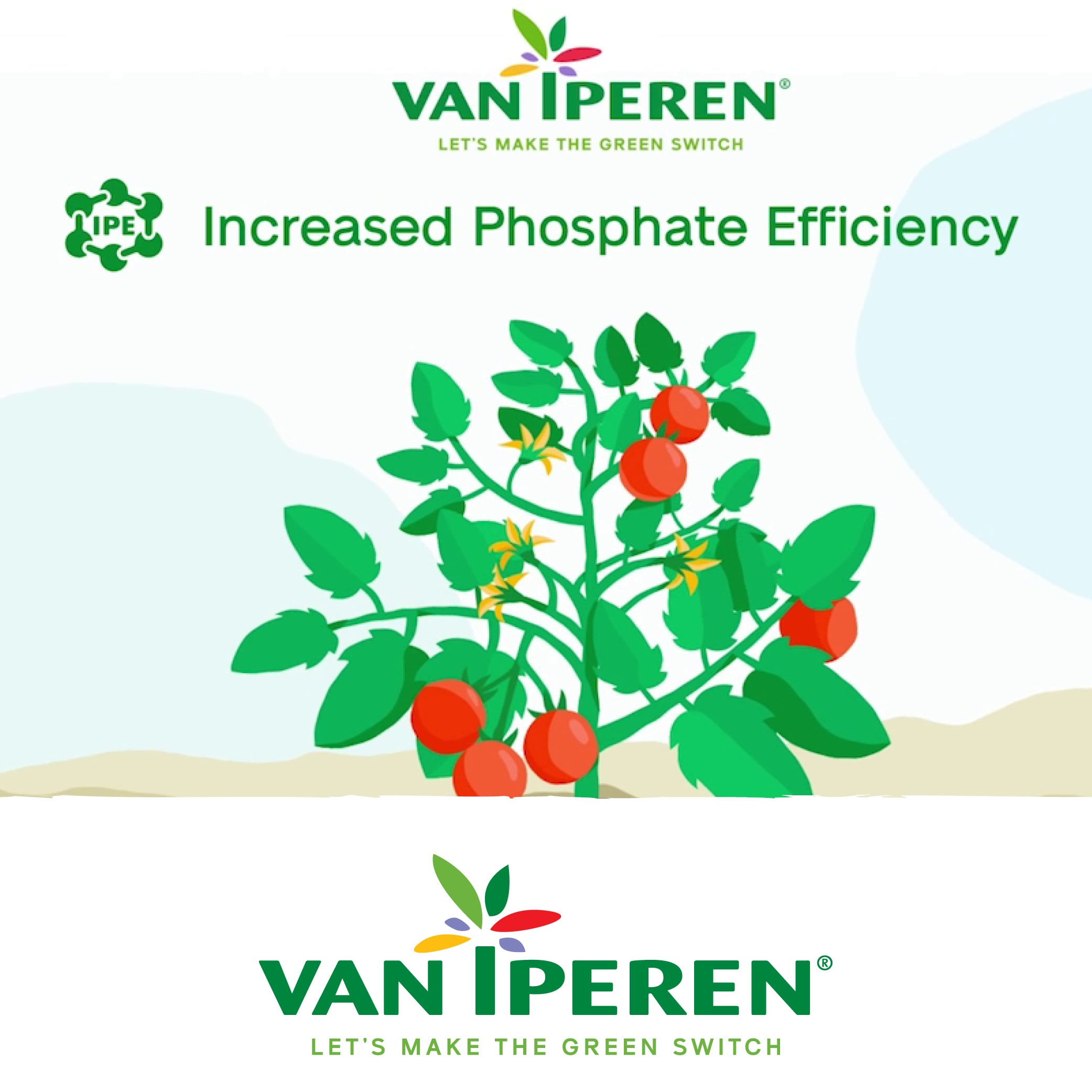 Enhanced Crop Nutrient Utilization with IPE® Technology - Van Iperen ...